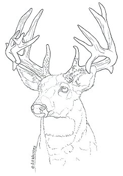 27 Free Wood Burning Pattern Ideas | Guide Patterns
