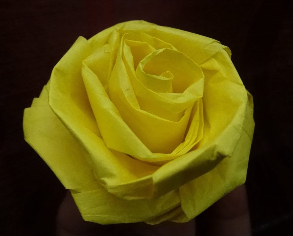 13 DIY Tissue Paper Roses - Guide Patterns