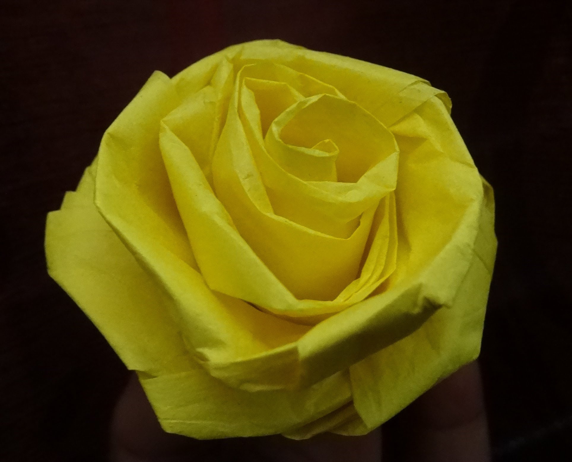 13 DIY Tissue Paper Roses Guide Patterns