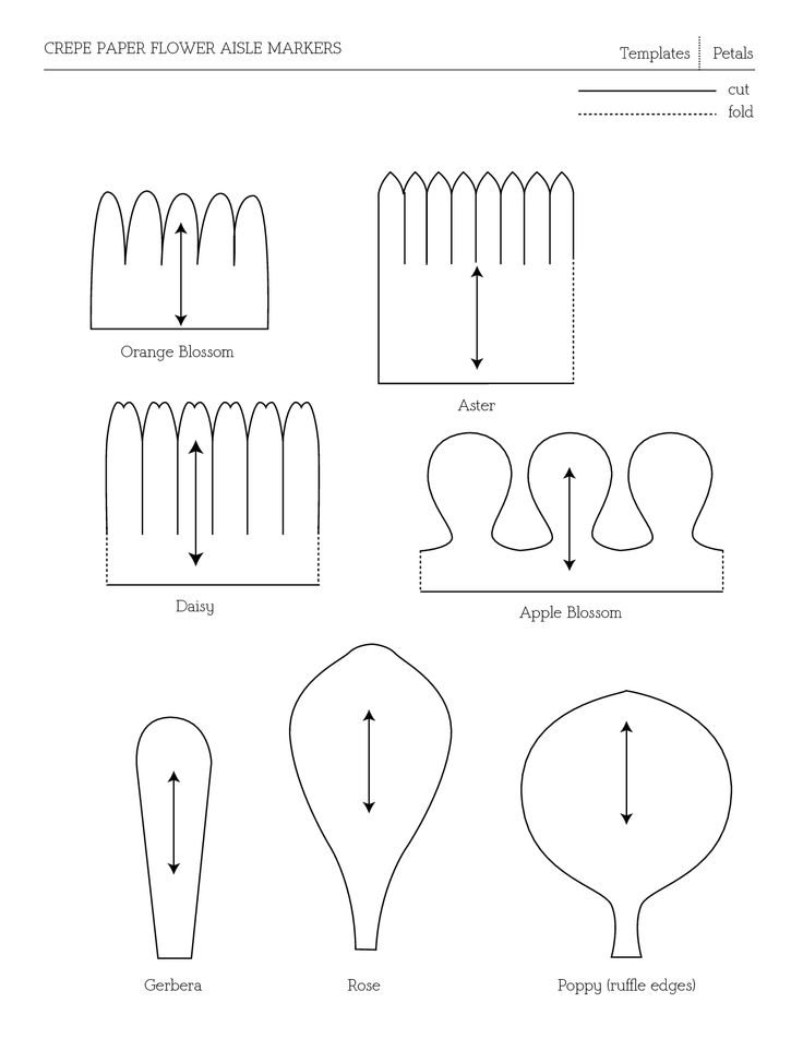 Crepe Paper Flower Templates Free Printable Templates