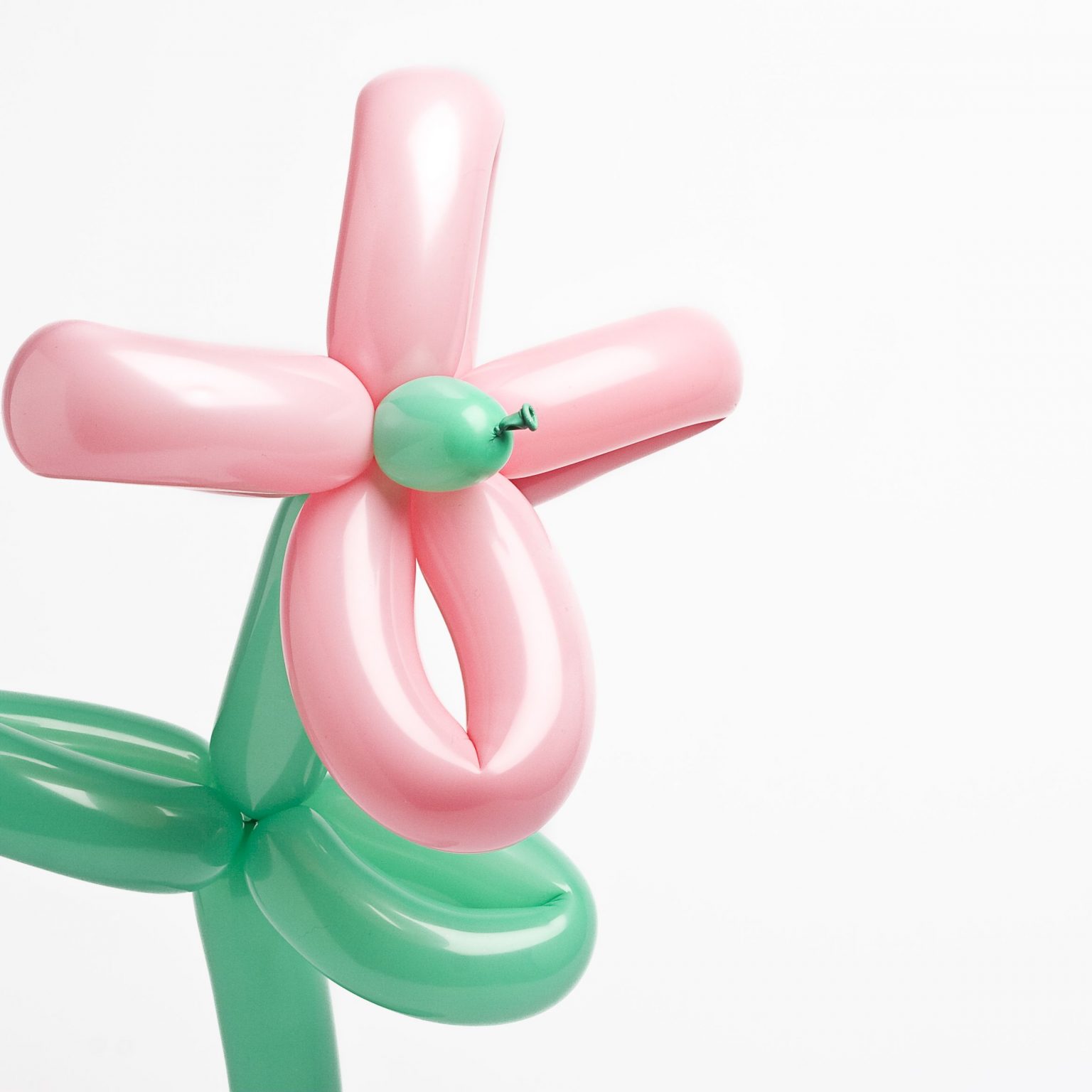 How to Make Balloon Flowers: 15 Marvelous Ways - Guide Patterns