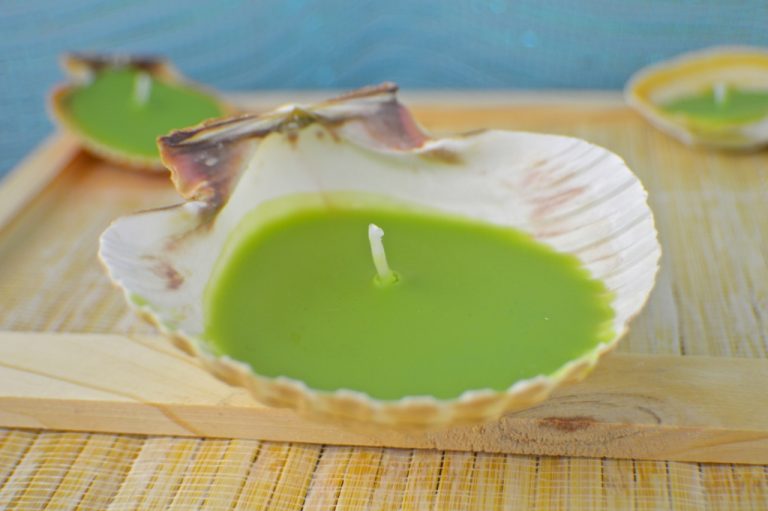 10+ DIY Seashell Candles and Holders | Guide Patterns