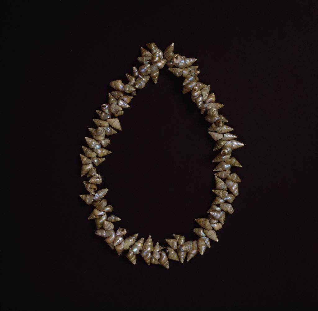 34+ Cool Ways to Make Shell Necklaces - Guide Patterns