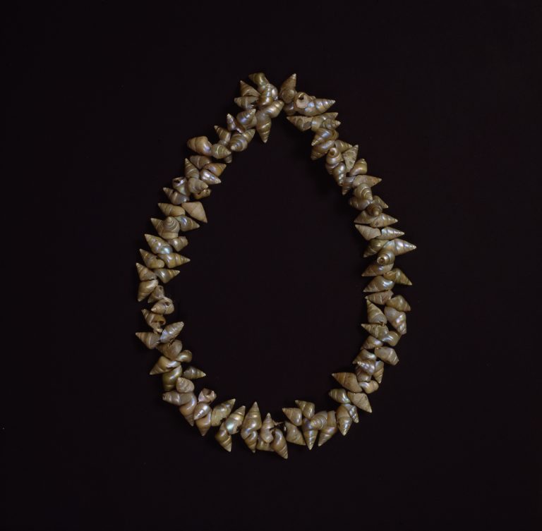 34+ Cool Ways to Make Shell Necklaces - Guide Patterns