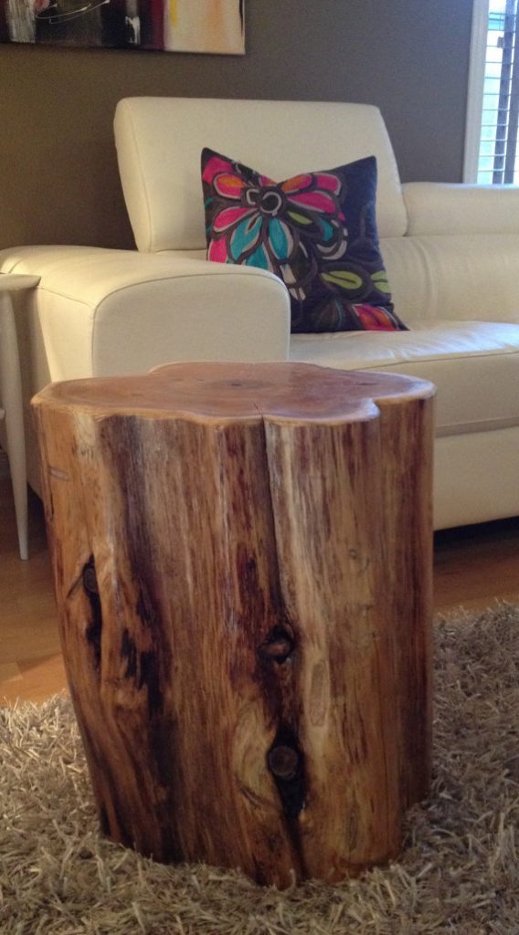 11 Tutorials to Build a Log Coffee Table - Guide Patterns