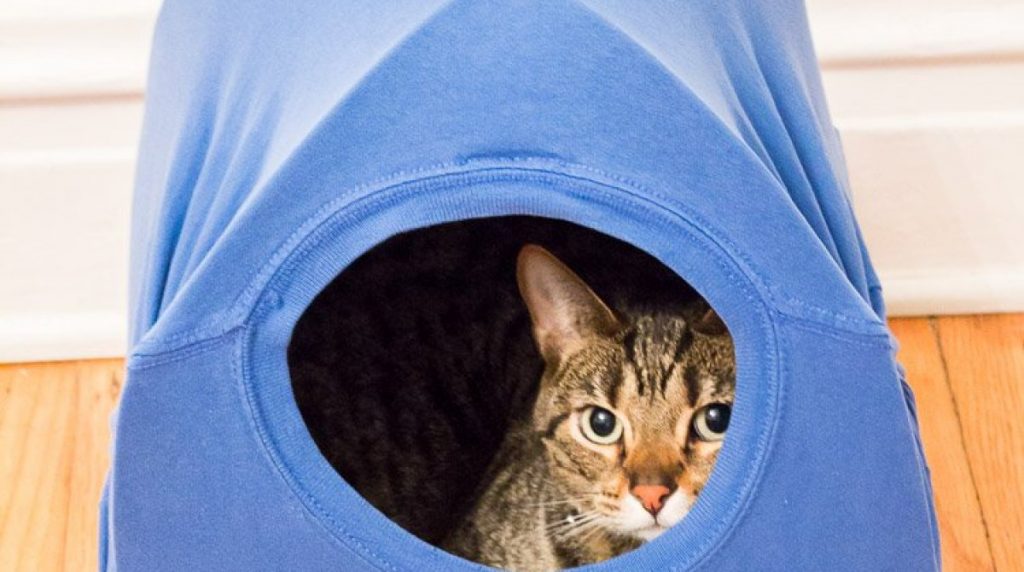 11 Cool Cat Tent DIYs - Guide Patterns