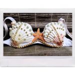 11 Enchanting Seashell Bra DIYs | Guide Patterns