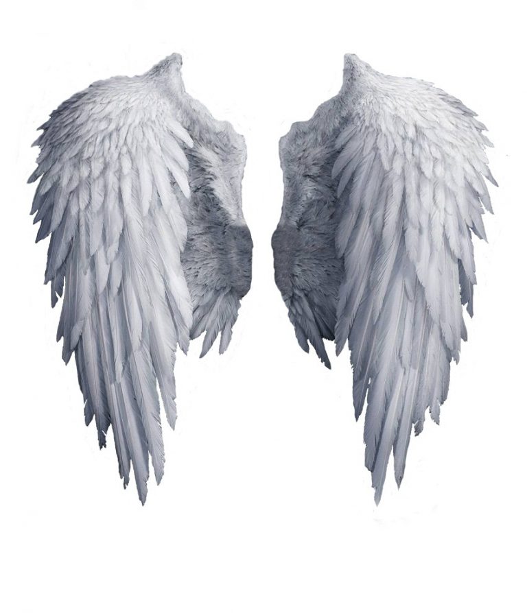 21+ DIYs on How to Make Angel Wings - Guide Patterns